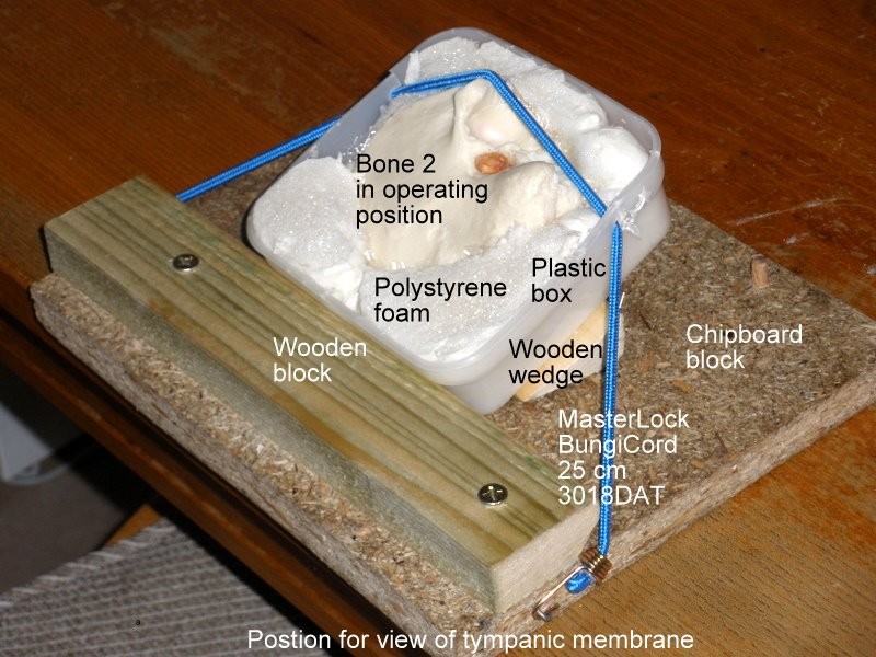 Pettigrew Temporal Bone Holder.